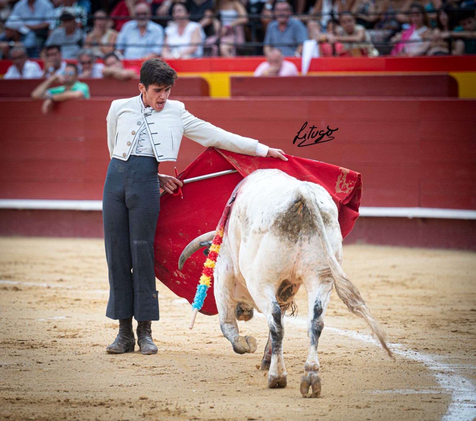 Juan Alberto conquesta València – LA VEU D'ALGEMESÍ